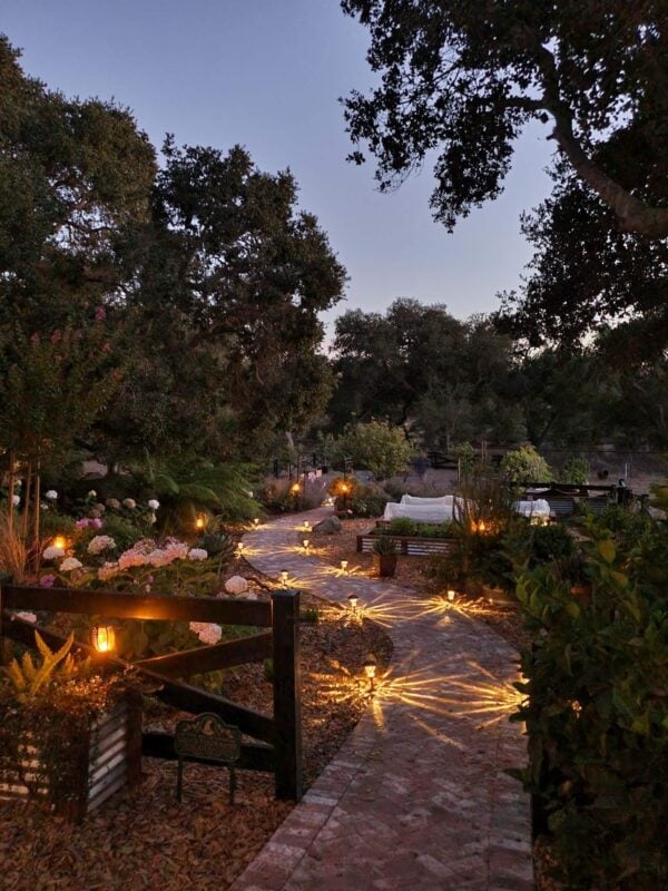 Homestead Update: Starting the New Garden ~ Homestead and Chill