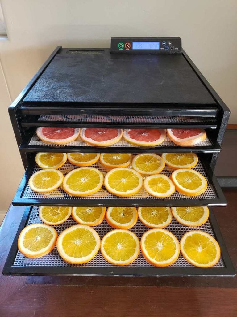 How to Dry Orange Slices for Holiday Decorations (Oven or Dehydrator ...