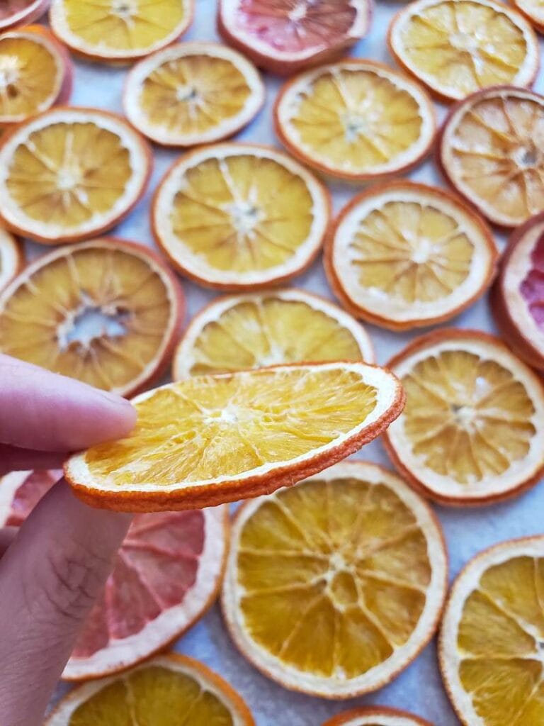 How to Dry Orange Slices for Holiday Decorations (Oven or Dehydrator ...
