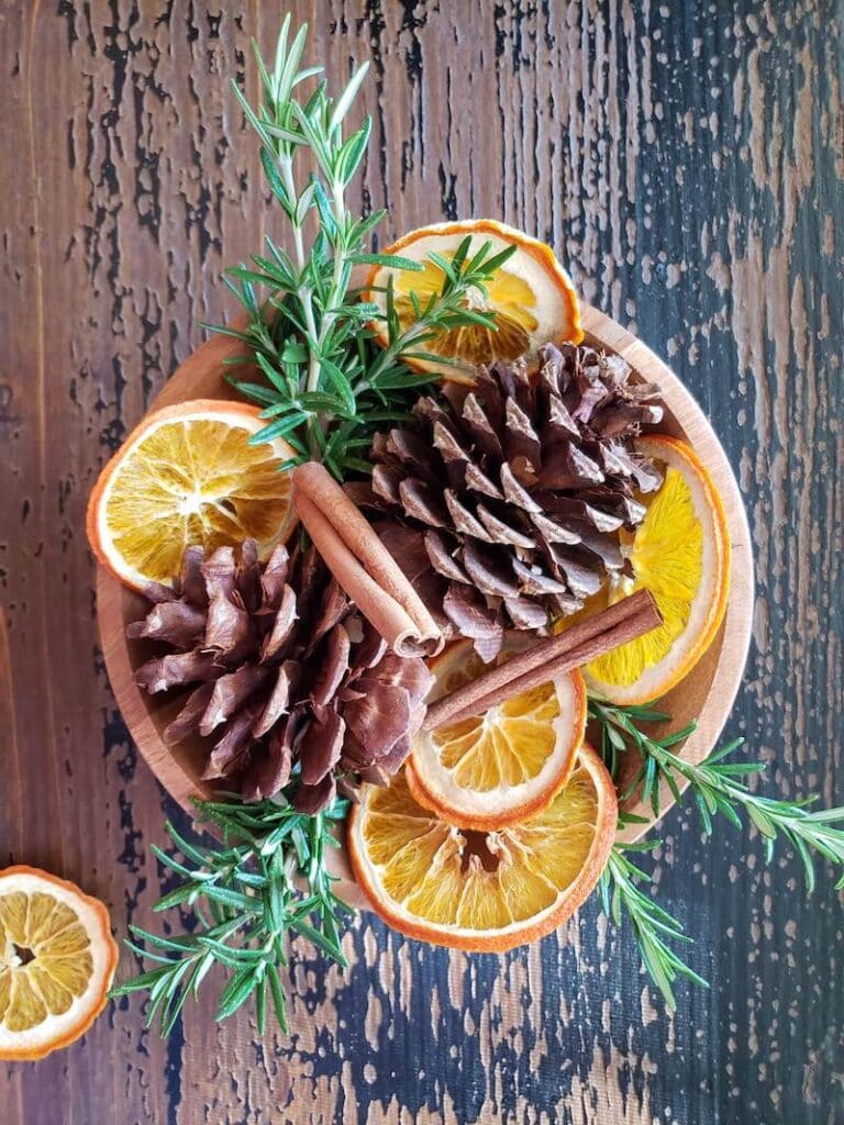 How to Dry Orange Slices for Holiday Decorations (Oven or Dehydrator ...