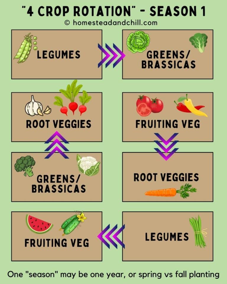 How to Practice Crop Rotation (Garden Benefits Explained) ~ Homestead ...