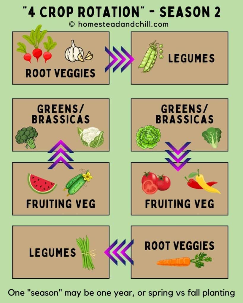 How to Practice Crop Rotation (Garden Benefits Explained) ~ Homestead ...
