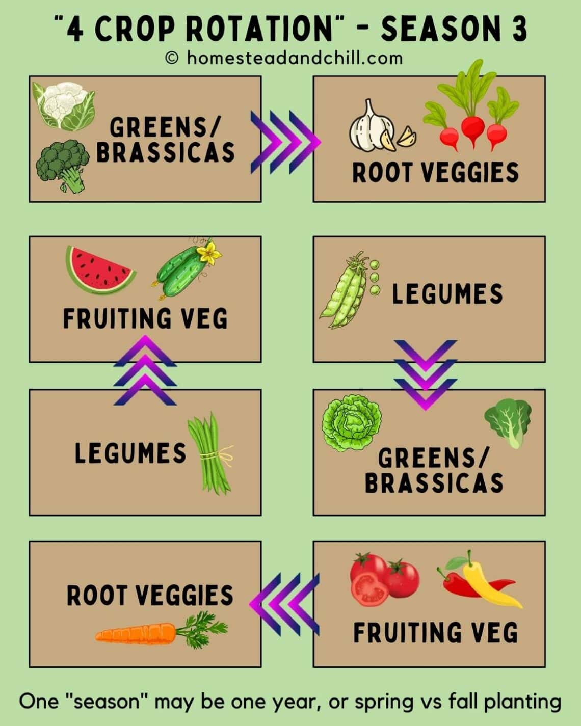 How to Practice Crop Rotation (Garden Benefits Explained) ~ Homestead ...