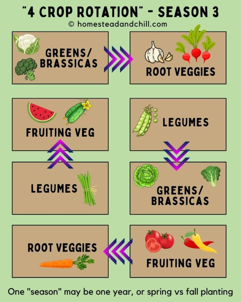 How to Practice Crop Rotation (Garden Benefits Explained) ~ Homestead ...