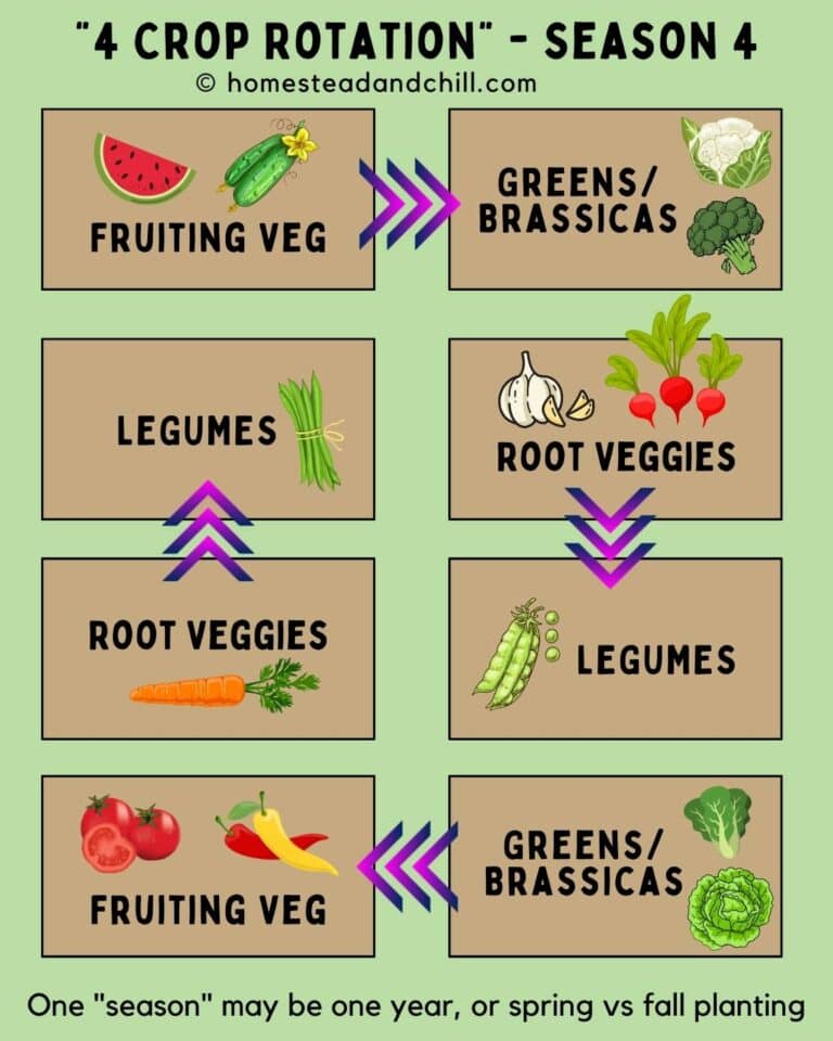 How to Practice Crop Rotation (Garden Benefits Explained) ~ Homestead ...