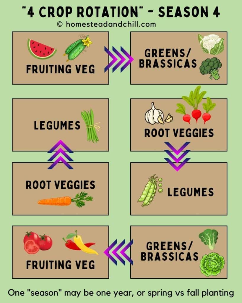 How to Practice Crop Rotation (Garden Benefits Explained) ~ Homestead ...