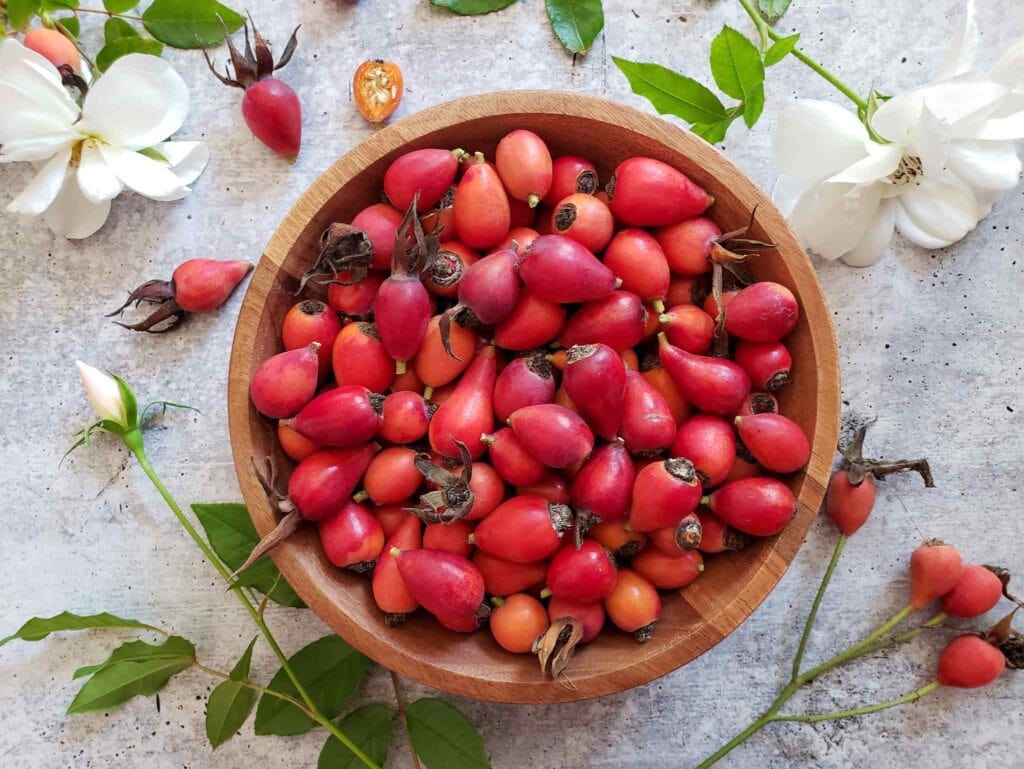 Radiant Rose Hips: How to Harvest, Dry and Use Rosehips ~ Homestead and ...