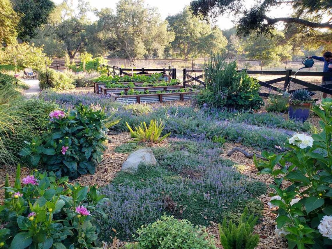 9 Ways to Add Whimsy and Interest to Your Garden ~ Homestead and Chill