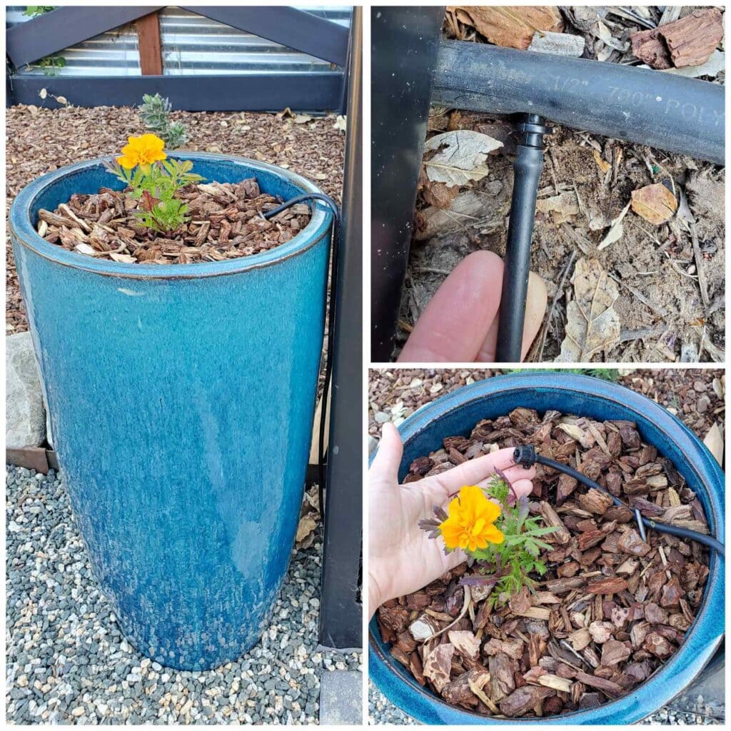 How to Set Up Drip Irrigation for Pots, Wine Barrels, Containers ...