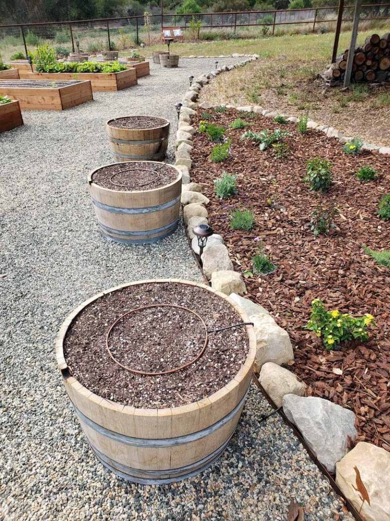 How to Set Up Drip Irrigation for Pots, Wine Barrels, Containers ...