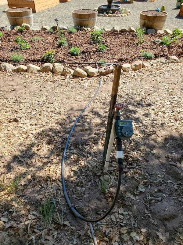 How to Set Up Drip Irrigation for Pots, Wine Barrels, Containers ...