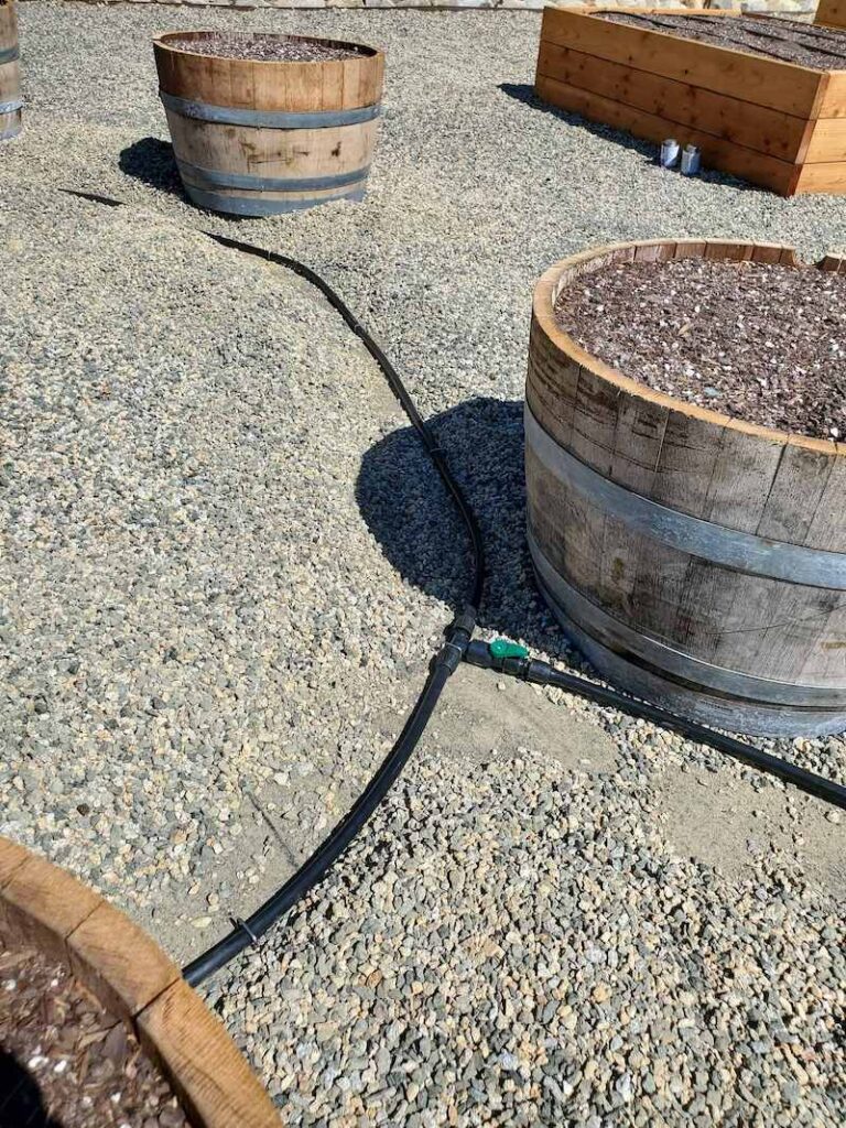 How to Set Up Drip Irrigation for Pots, Wine Barrels, Containers ...