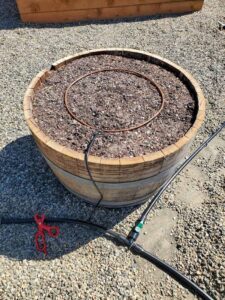 How to Set Up Drip Irrigation for Pots, Wine Barrels, Containers ...