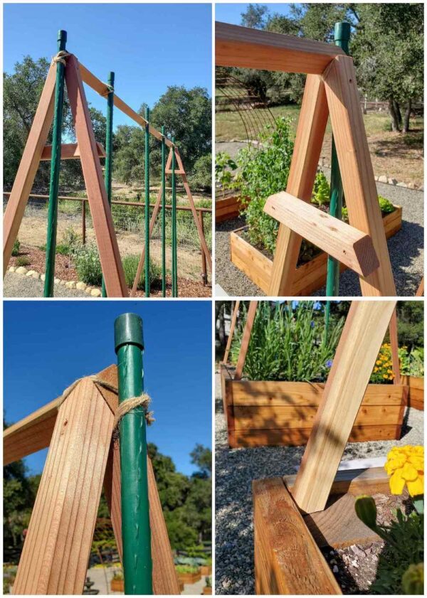 7 Ways to Support or Train Tomatoes: Cages, Trellises & More ...