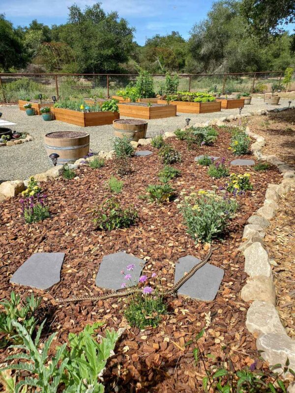 Non-Toxic Gopher Control: How to Keep Gophers Out of Your Garden ~ Homestead and Chill