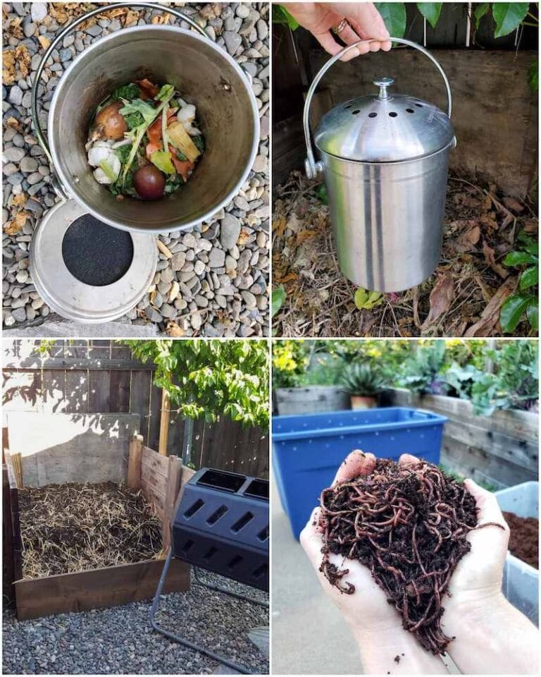 How to Use, Store or Preserve Garden Produce to Reduce Waste ...