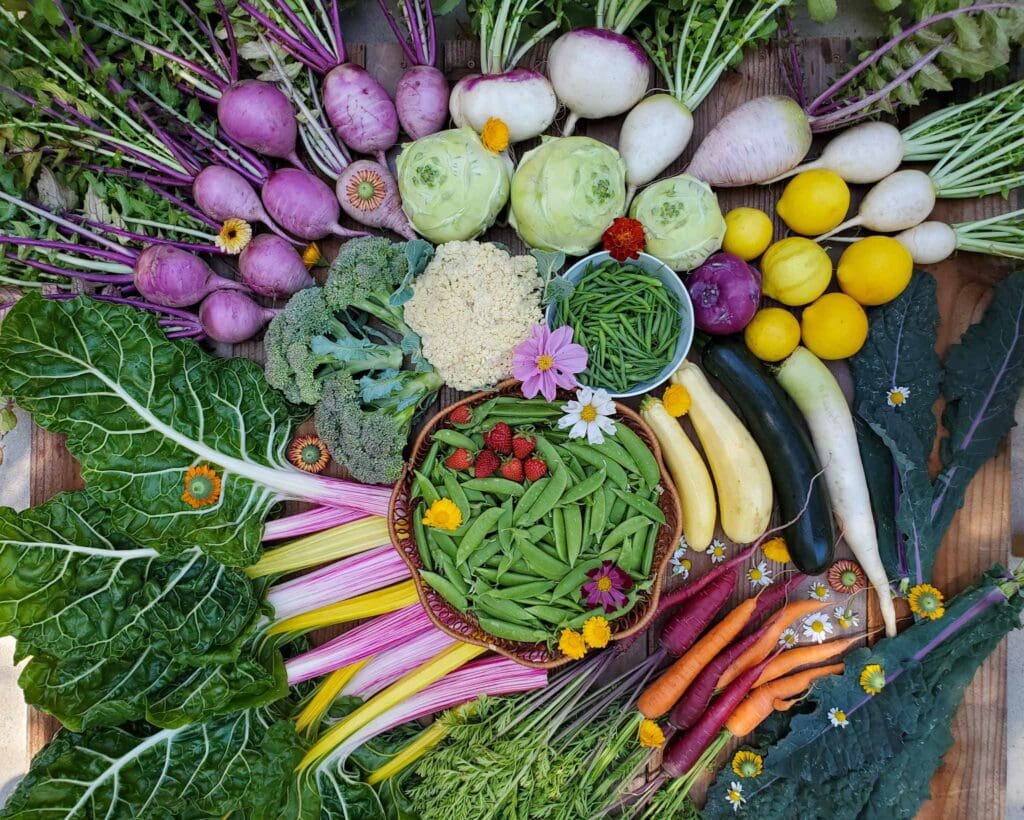 How to Use, Store or Preserve Garden Produce to Reduce Waste ...