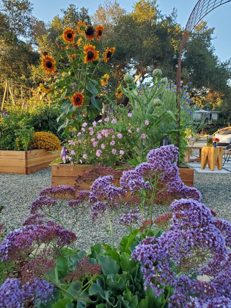 Best Summer Garden Vegetables and Flower Varieties to Grow ~ Homestead ...