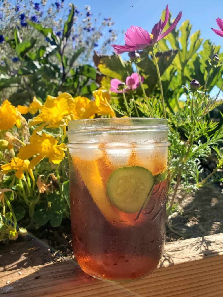 How to Safely Make Sun Tea With Fresh or Dry Herbs ~ Homestead and Chill