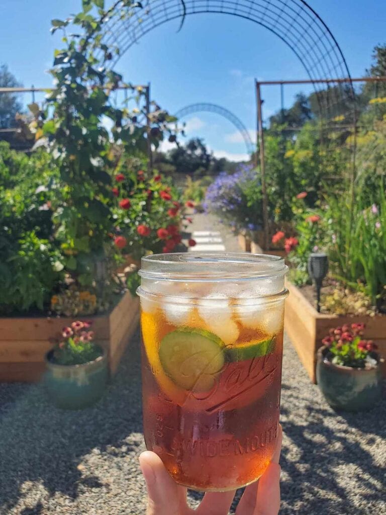 How to Safely Make Sun Tea With Fresh or Dry Herbs ~ Homestead and Chill
