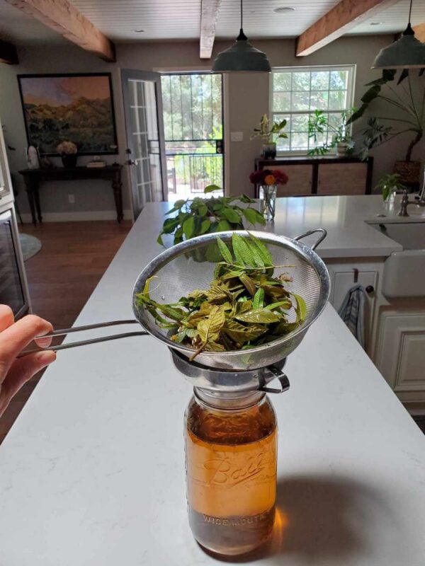 How to Safely Make Sun Tea With Fresh or Dry Herbs ~ Homestead and Chill