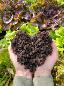 17 Ways to Save Water in the Garden and Landscape ~ Homestead and Chill