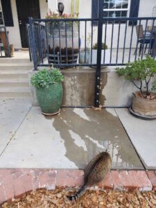 17 Ways to Save Water in the Garden and Landscape ~ Homestead and Chill