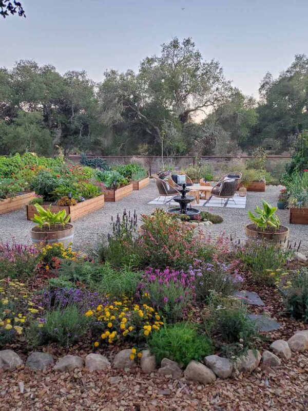 17 Ways to Save Water in the Garden and Landscape ~ Homestead and Chill