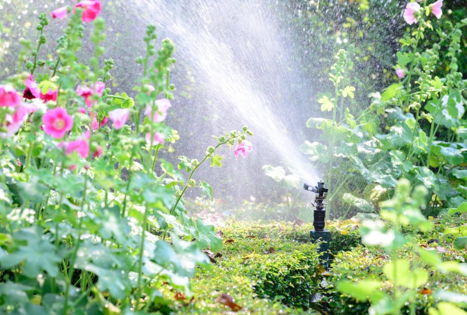 17 Ways to Save Water in the Garden and Landscape ~ Homestead and Chill