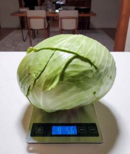 How to Grow Cabbage Seed to Harvest: The Ultimate Guide ~ Homestead and ...