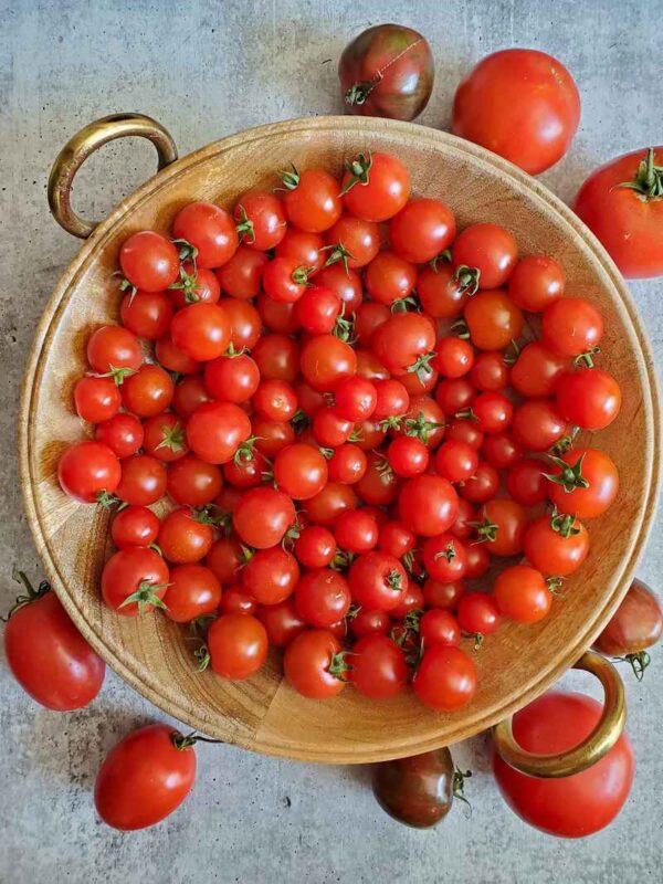 How to Make Tomato Powder (Fresh Tomatoes or Saved Skins) ~ Homestead ...