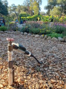 17 Ways to Save Water in the Garden and Landscape ~ Homestead and Chill