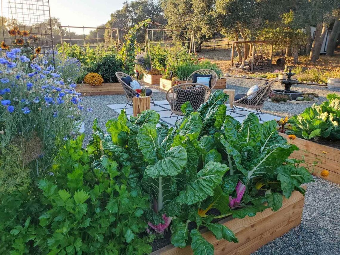 17 Ways to Save Water in the Garden and Landscape ~ Homestead and Chill