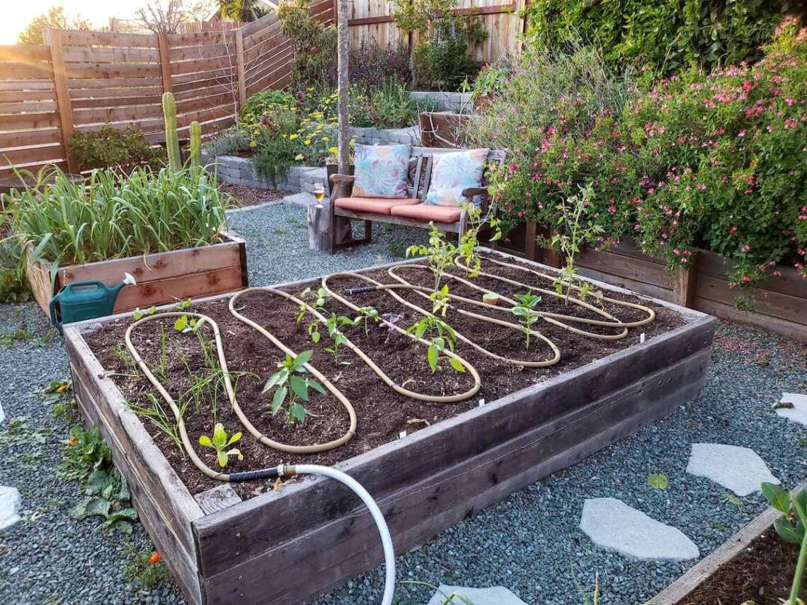 17 Ways to Save Water in the Garden and Landscape ~ Homestead and Chill