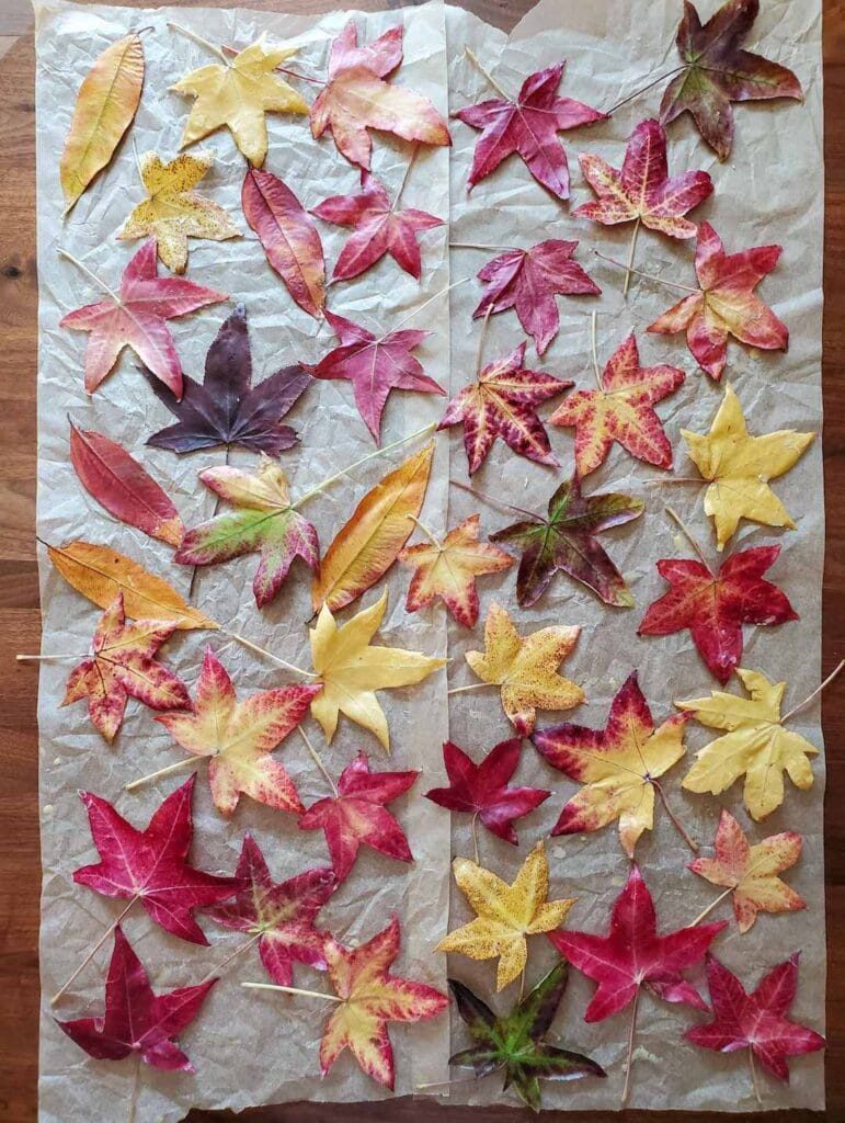How to Make a DIY Fall Leaf Garland ~ Homestead and Chill