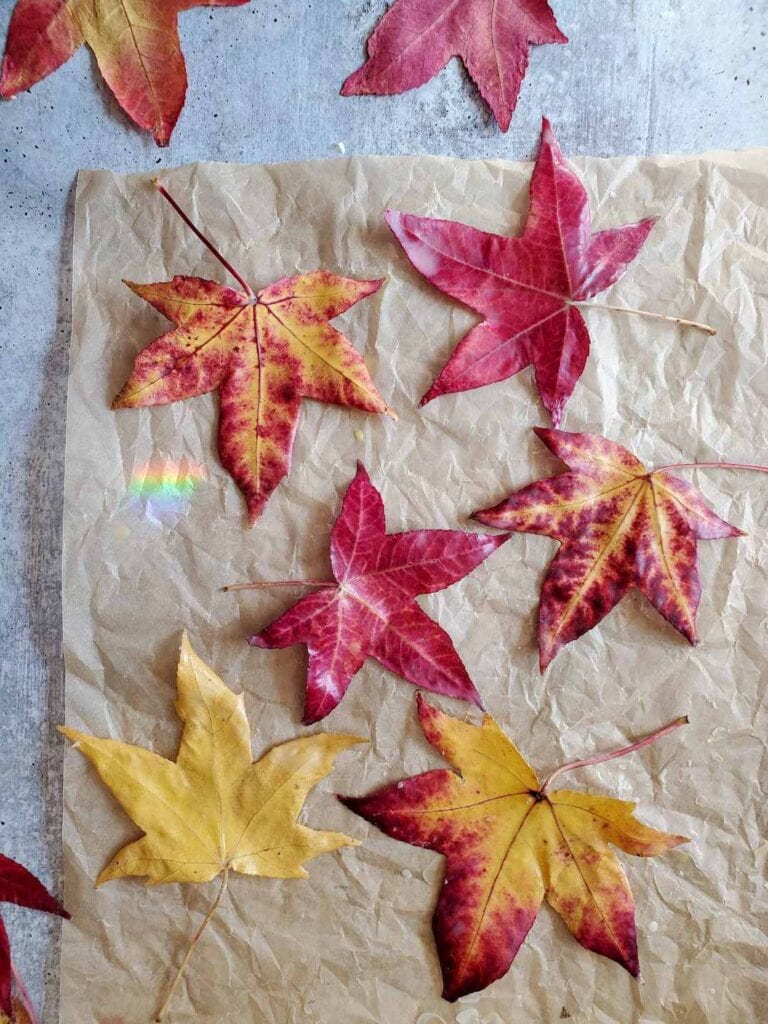 How to Make a DIY Fall Leaf Garland ~ Homestead and Chill