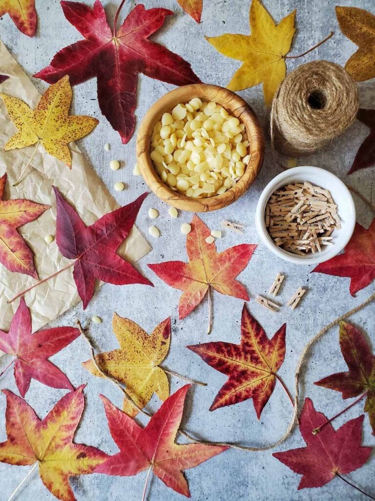 How to Make a DIY Fall Leaf Garland ~ Homestead and Chill