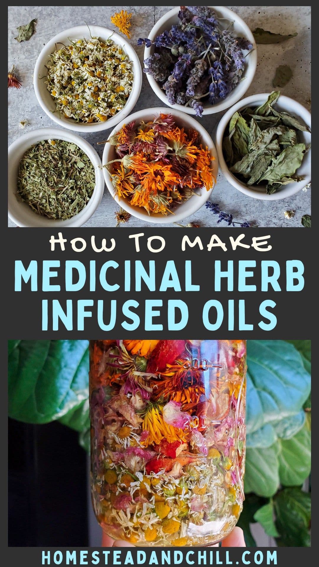 How to Make Medicinal Herb Infused Oil: Two Ways ~ Homestead and Chill
