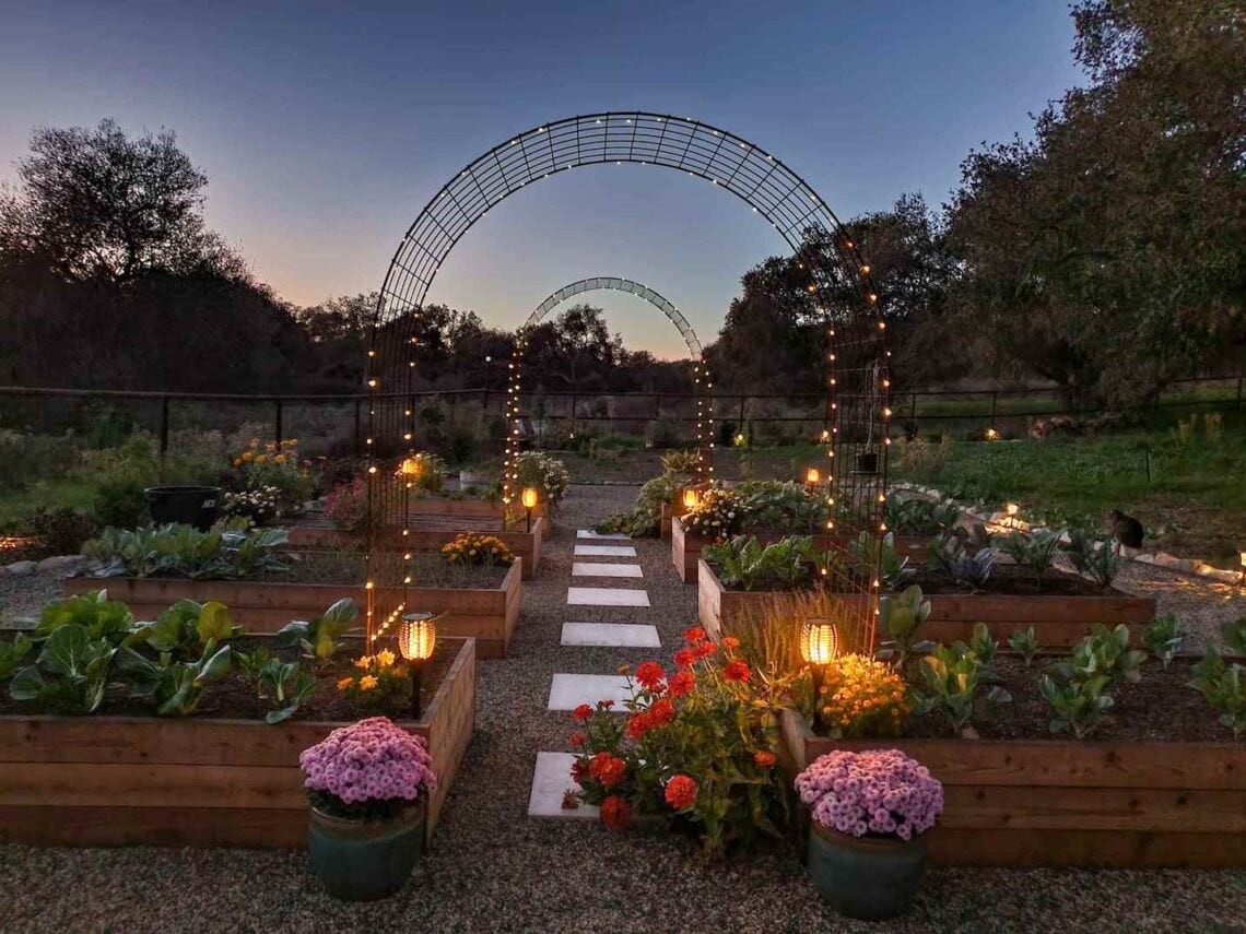 Homestead Gift Guide: 40+ Garden, Kitchen and Green Home Gift Ideas ...