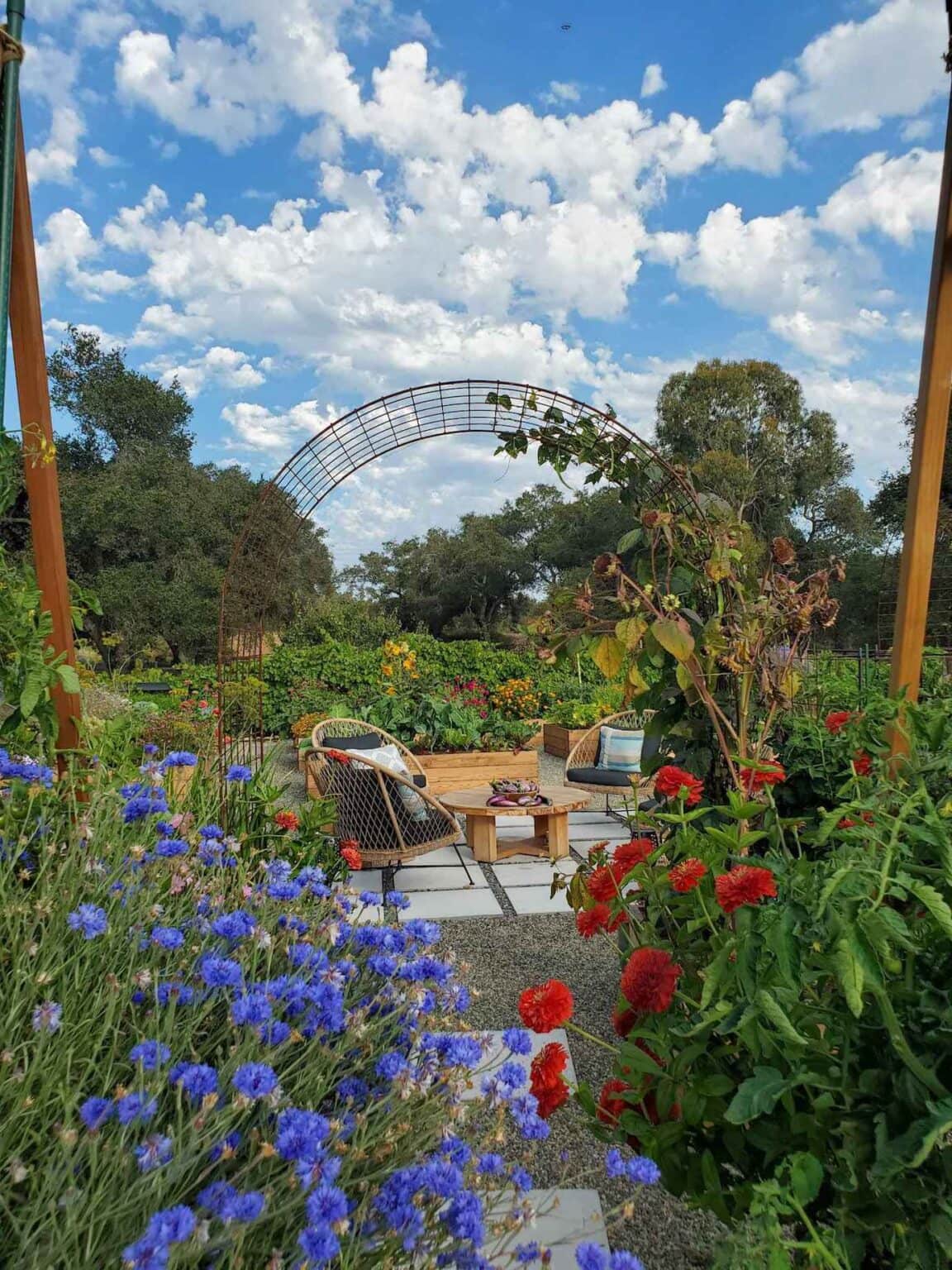 Best Summer Garden Vegetables and Flower Varieties to Grow ~ Homestead ...