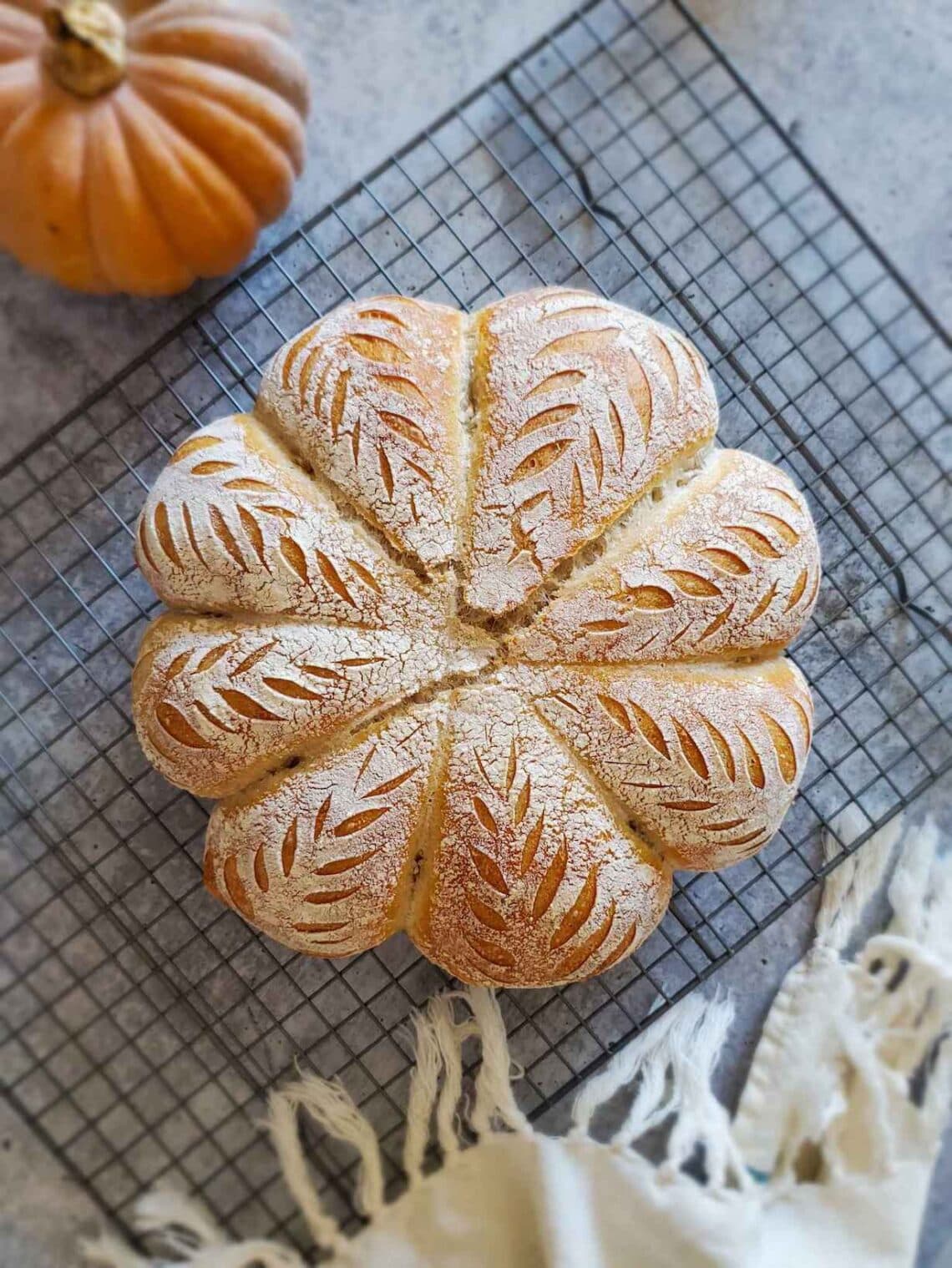 How to Make Pumpkin Shaped Sourdough Bread Loaf ~ Homestead and Chill
