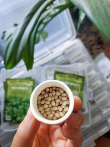 How Long Do Seeds Last? (Seed Viability Chart) ~ Homestead and Chill