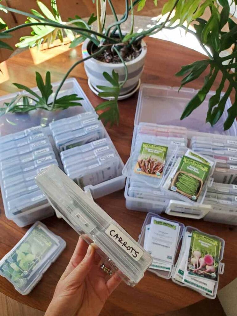 How Long Do Seeds Last? (Seed Viability Chart) ~ Homestead and Chill