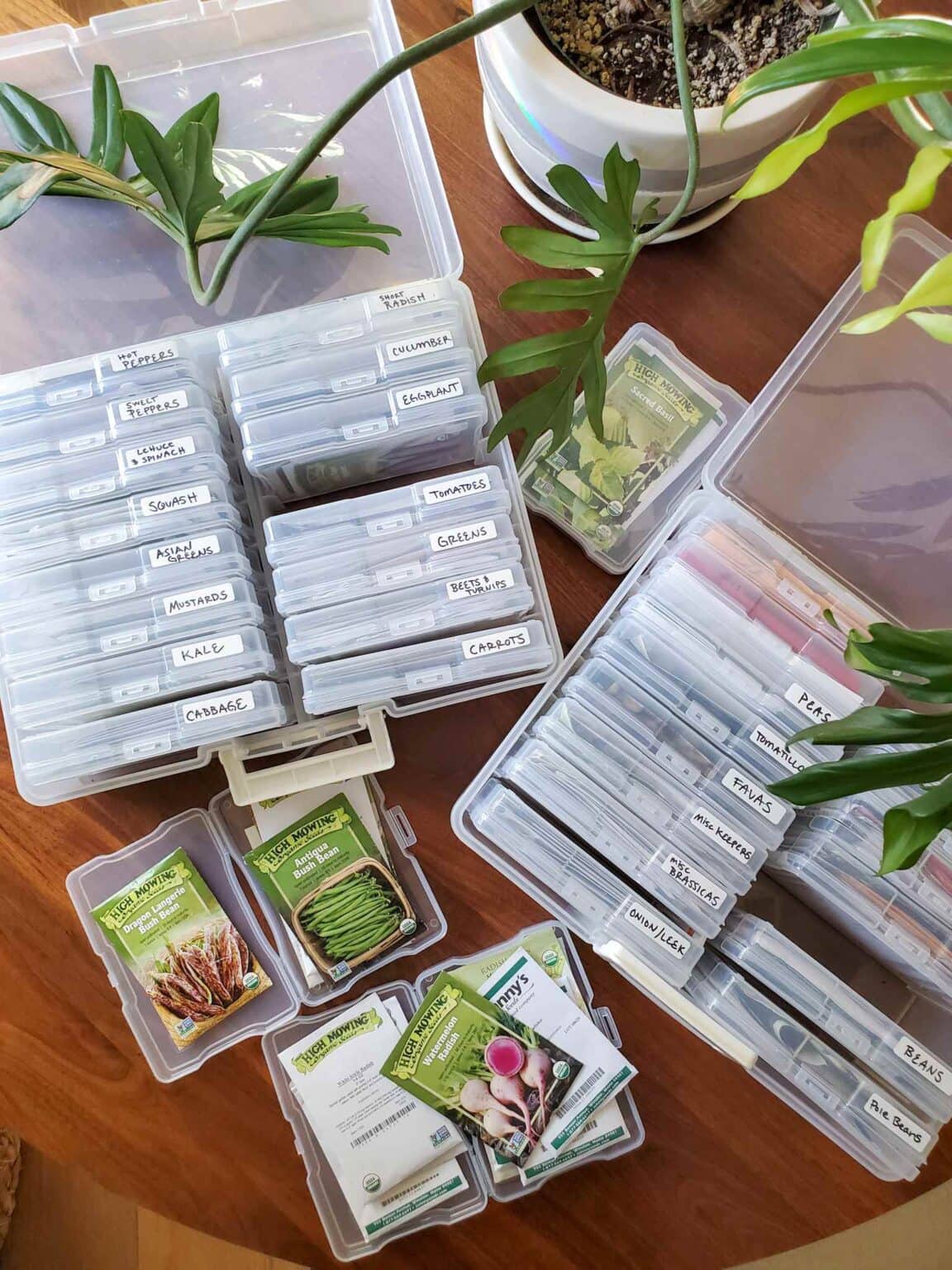 How Long Do Seeds Last? (Seed Viability Chart) ~ Homestead and Chill