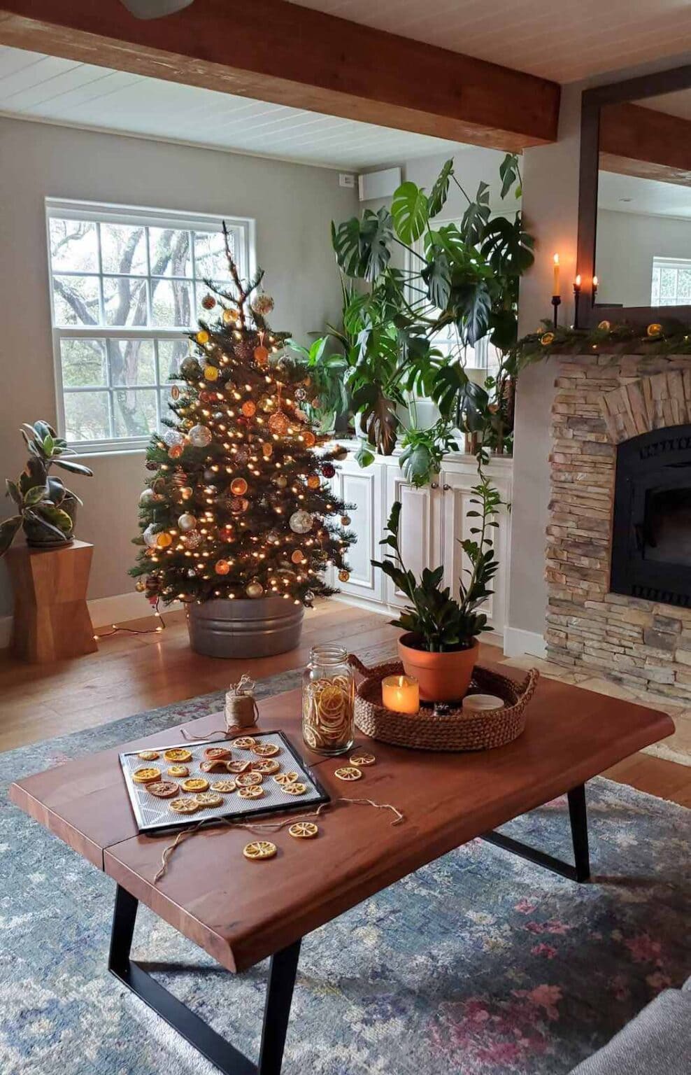 How to Dry Orange Slices for Holiday Decorations (Oven or Dehydrator ...