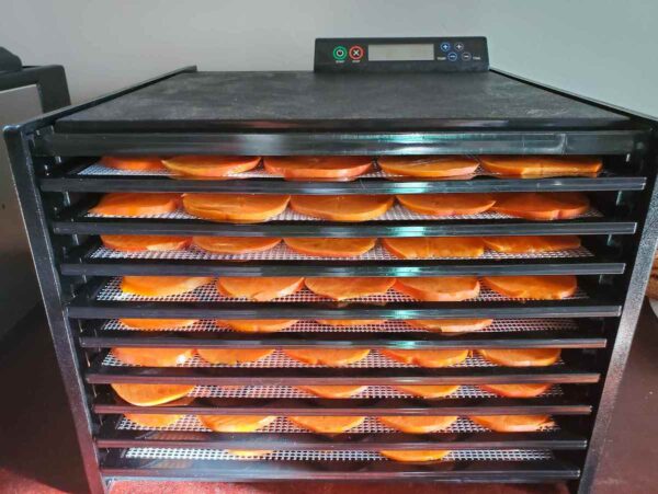 How to Make Easy Dried Persimmons (Oven or Dehydrator) ~ Homestead and ...