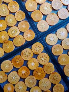 How to Make Easy Dried Persimmons (Oven or Dehydrator) ~ Homestead and ...