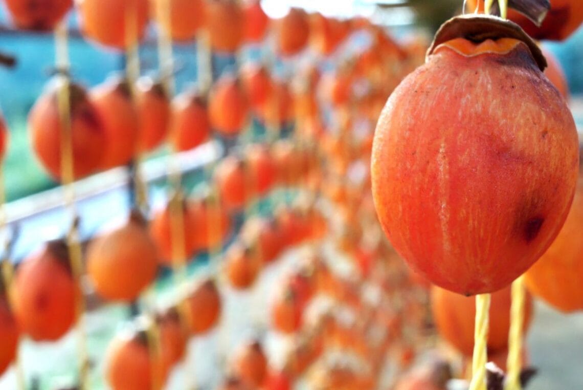 How to Make Easy Dried Persimmons (Oven or Dehydrator) ~ Homestead and ...