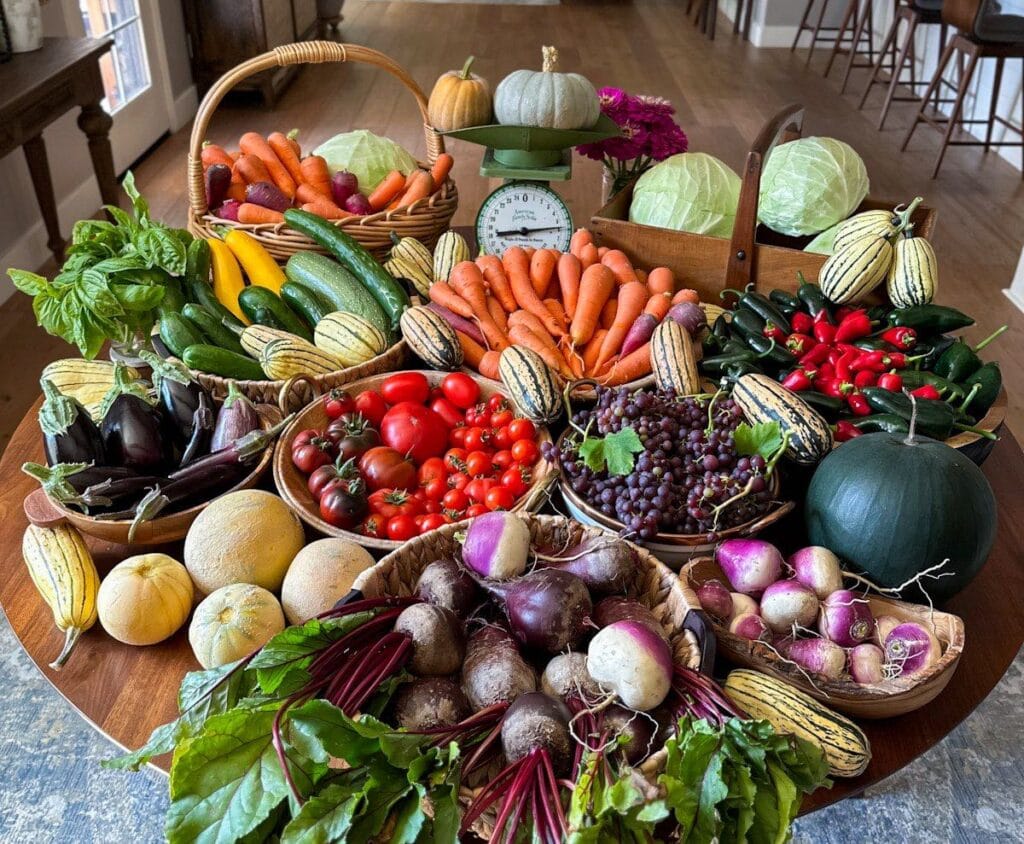 Best Summer Garden Vegetables and Flower Varieties to Grow ~ Homestead ...