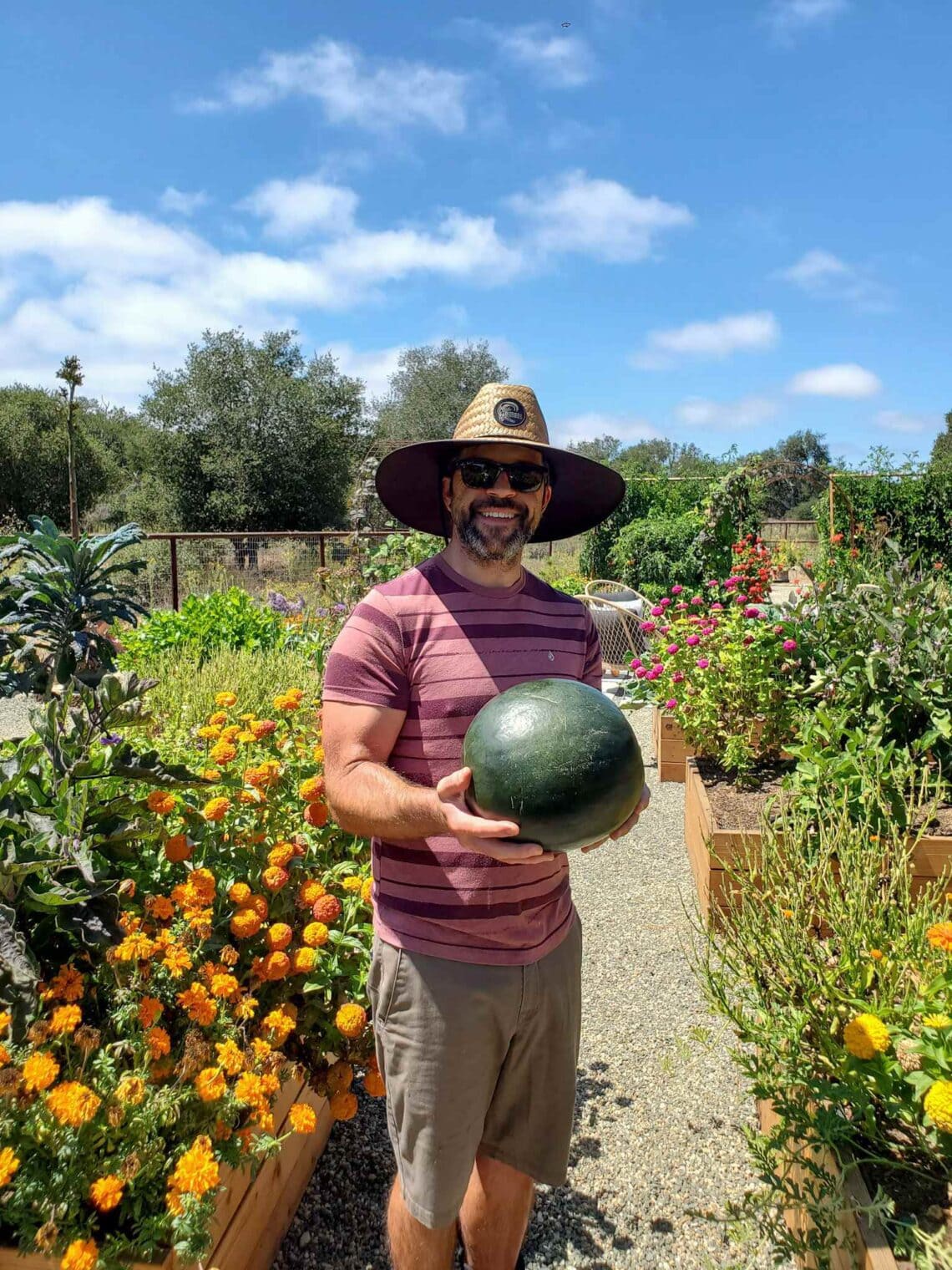 Best Summer Garden Vegetables and Flower Varieties to Grow ~ Homestead ...